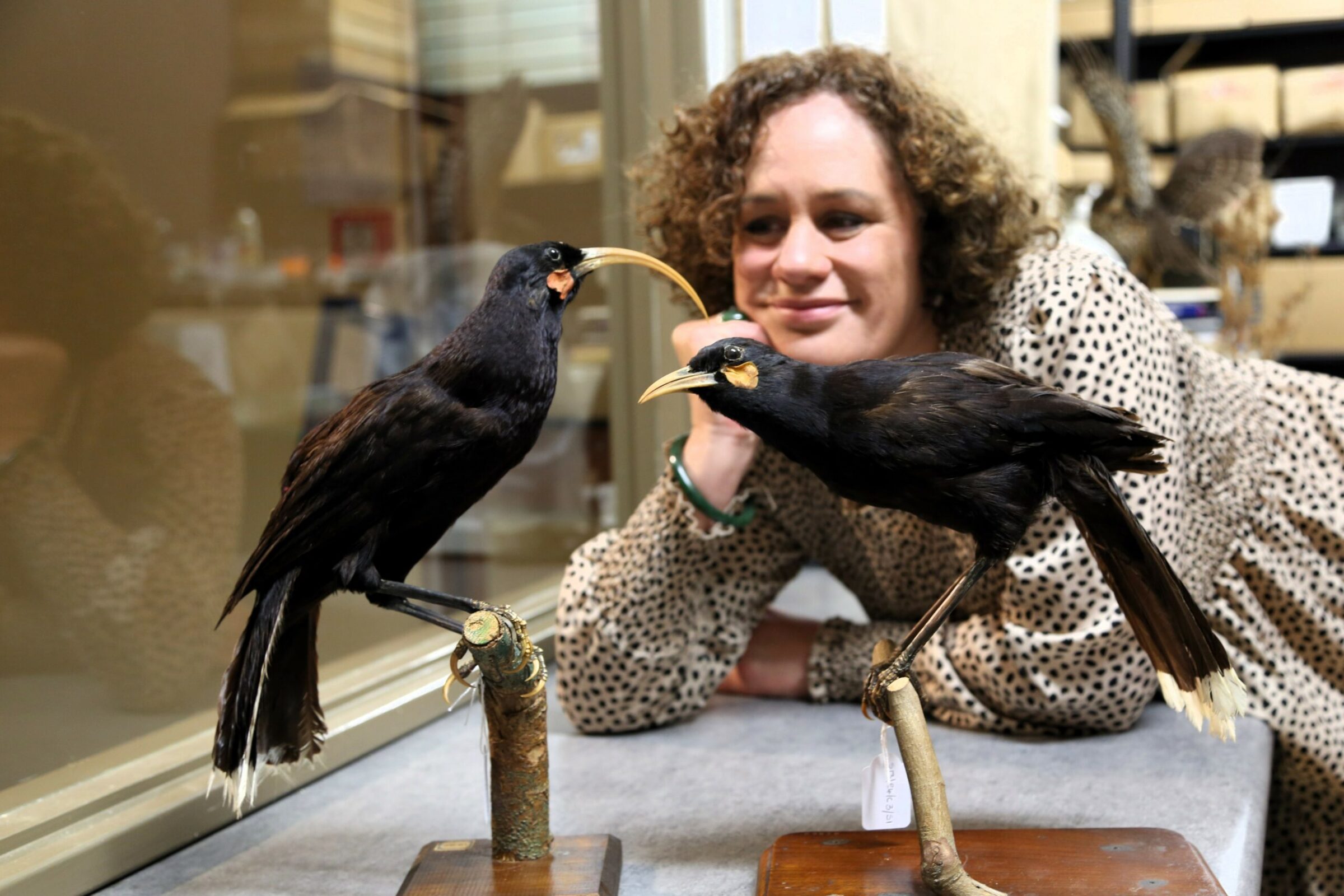 Mourning the passing of Huia - Whanganui Regional Museum